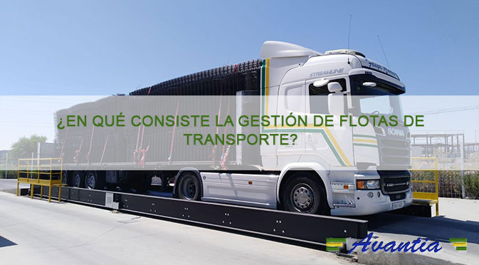 En qué consiste la gestión de flotas de transporte